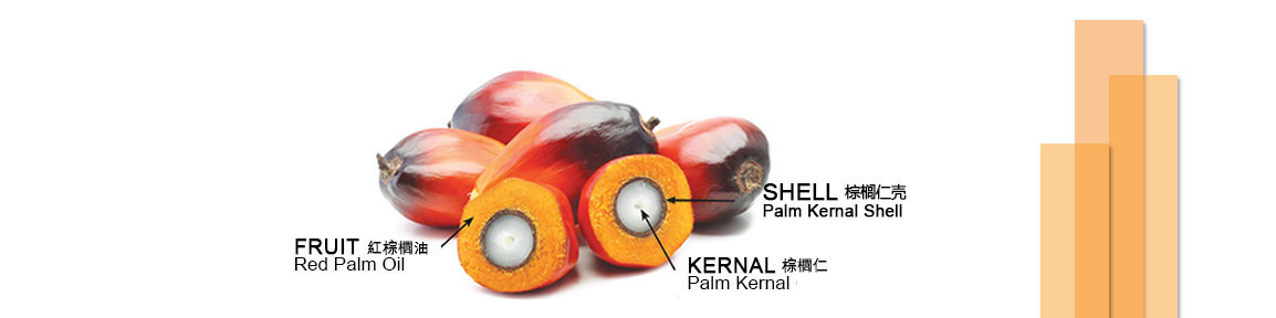 Palm Kernal Product